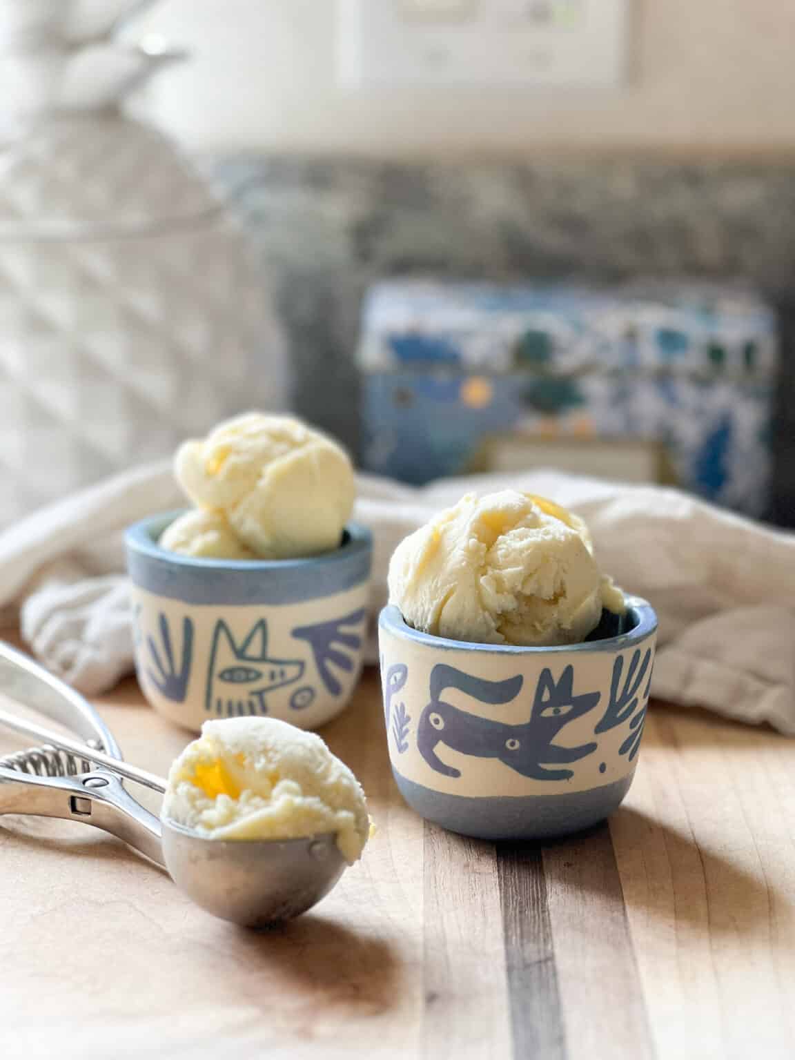 Homemade Small Batch Vanilla Bean Ice Cream Recipe - Cooking With Our CSA