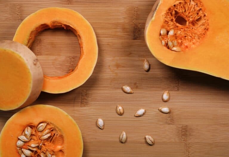 Your Winter Guide to Squash: Honeynut vs Butternut - Cooking With Our CSA