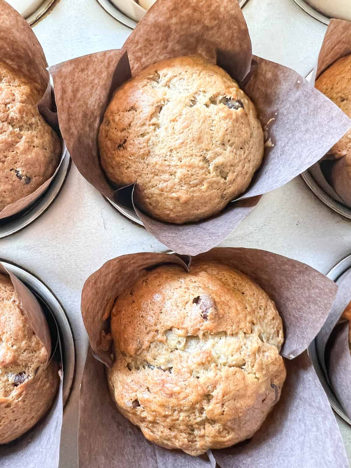 The Best Small-Batch Banana Chocolate Chip Muffins - Cooking With Our CSA